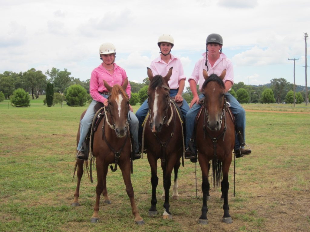 About - Team Penning Australia